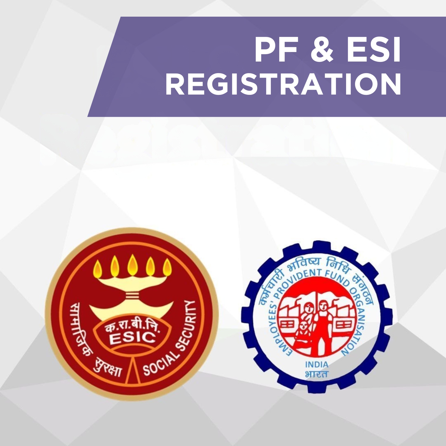 PF & ESI Registration – Digitax Consultancy